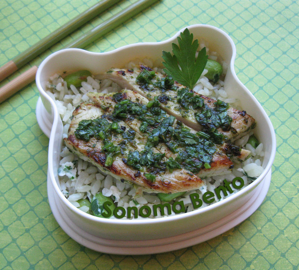 Sonoma Bento: Monochromatic Green Bento