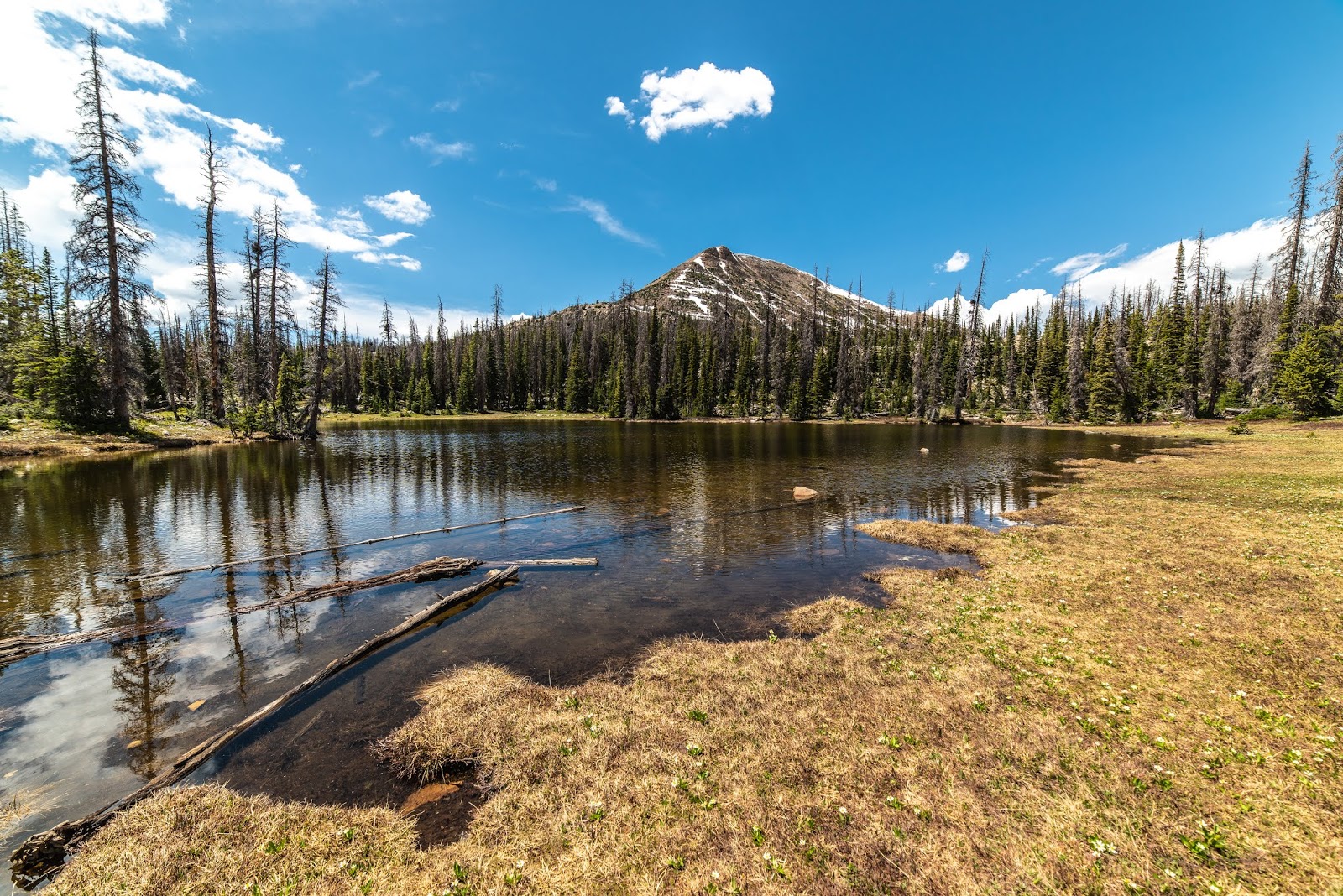 Seeking Shambhala: Clyde Lake Loop, Uinta Mountains- July 2019