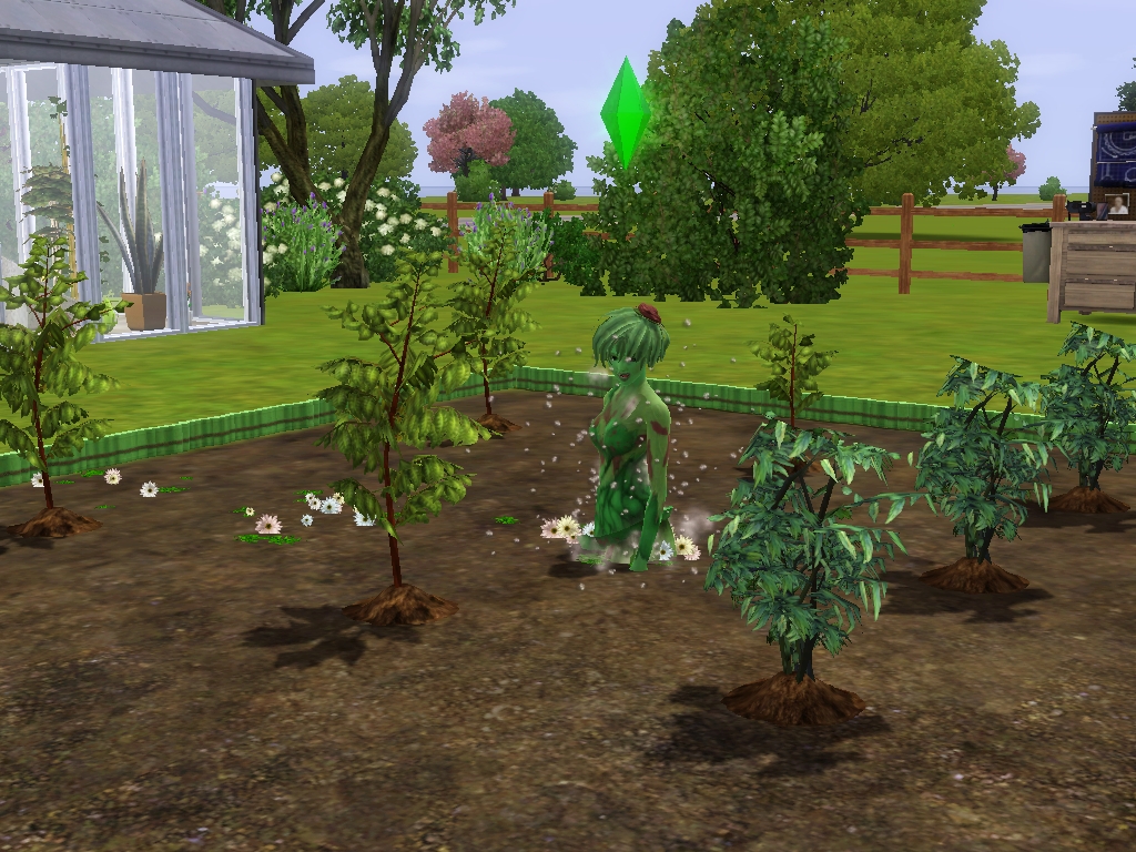Sims 3: The Best Screenshots: PlantSim