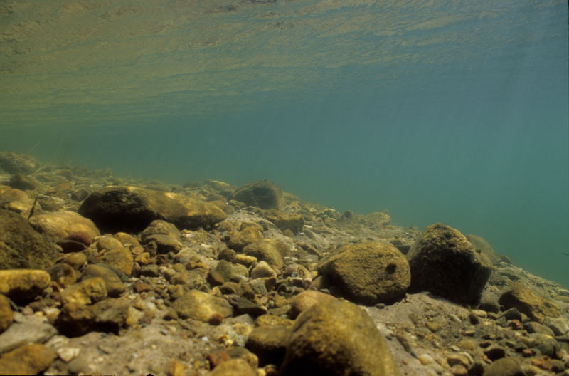 Engbretson Underwater Photography: What are the Clearest Lakes in ...