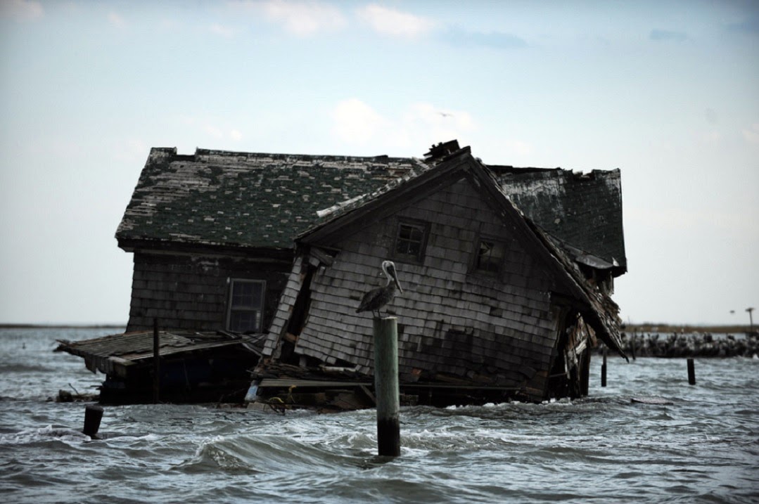 Deserted Places: Holland Island in the Chesapeake Bay