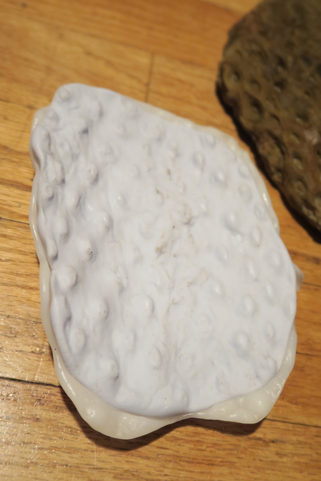 An Apel a Day: Polly Plastics Moldable Plastic & Color Pellet Kit Review