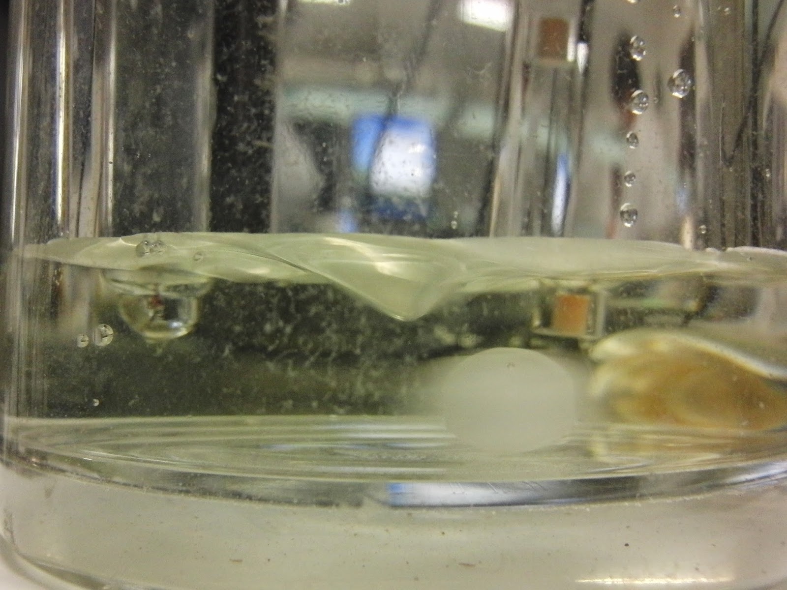 Lu Le Laboratory: BZ Reaction - Oscillating Reaction - Physical Chemistry