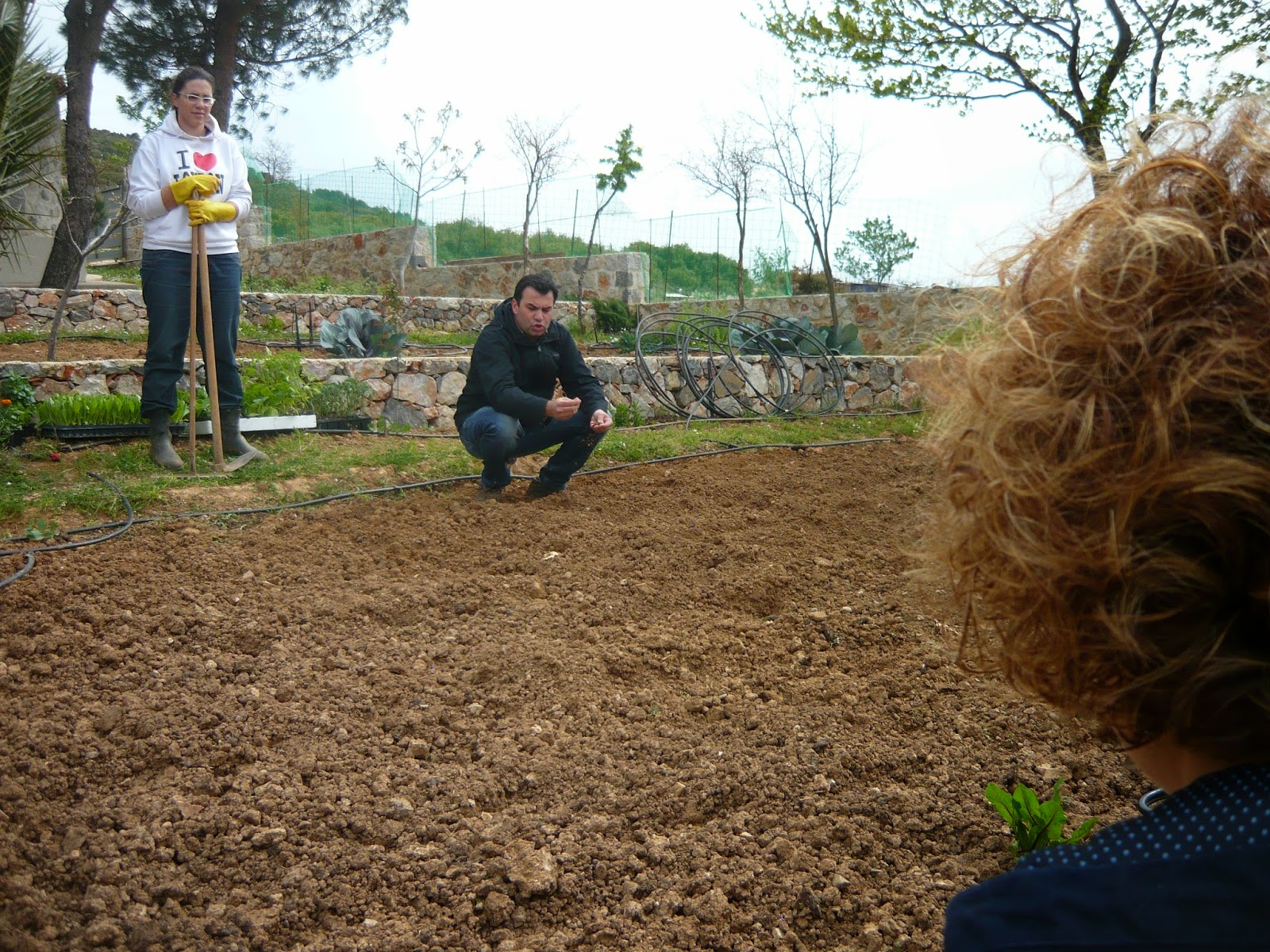 ΣΧΟΛΙΚΟΙ ΛΑΧΑΝΟΚΗΠΟΙ : ΟΙ ΚΗΠΟΙ ΤΩΝ ΣΧΟΛΕΙΩΝ ΤΗΣ Δ/ΣΗΣ Β/ΘΜΙΑΣ ΕΚΠ/ΣΗΣ ...