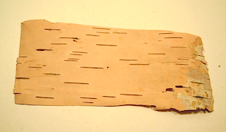 An Elephant a Day: Elephant No. 177: Birchbark Biting