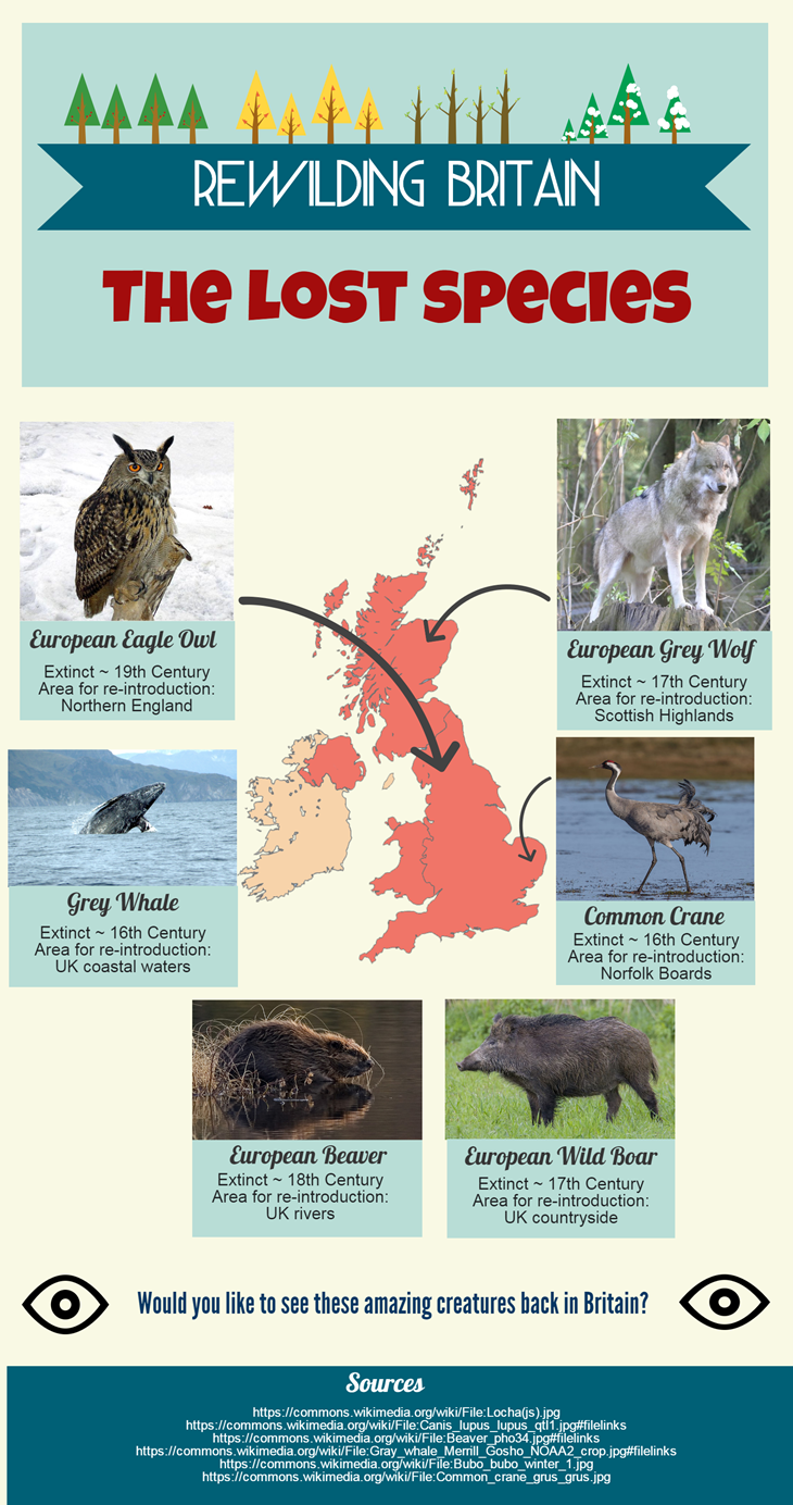 Abe's Animals: Rewilding Britain: The Lost Species