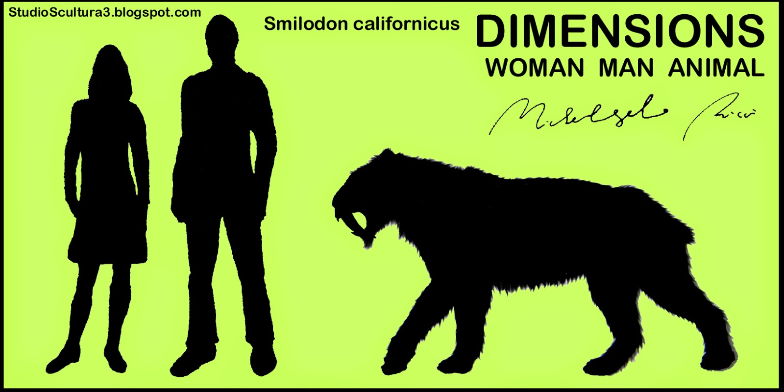 Sabertooth Tiger Size Comparison