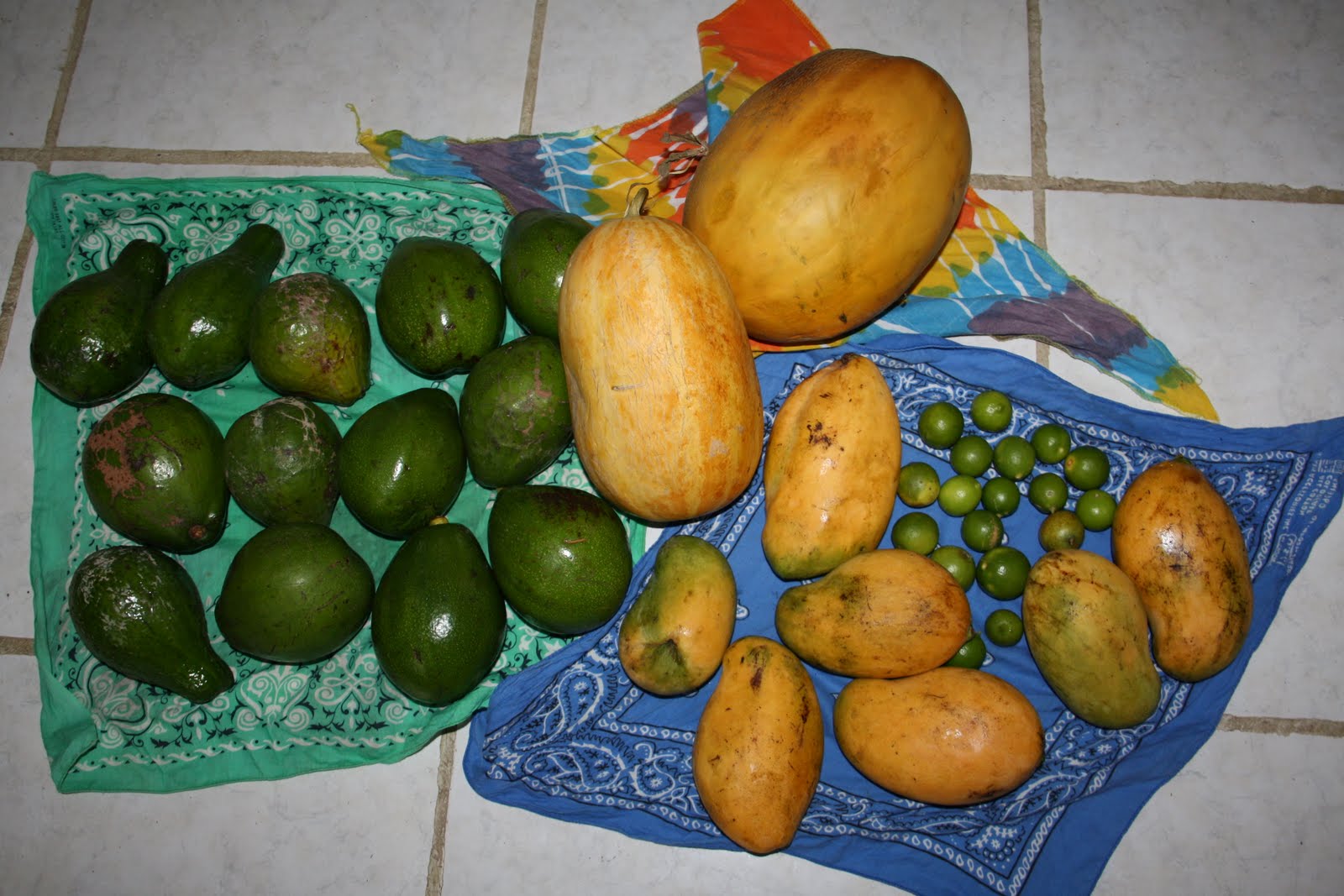 Wildflower Junction: Mango guts, melon cores and chunky Mamba thighs