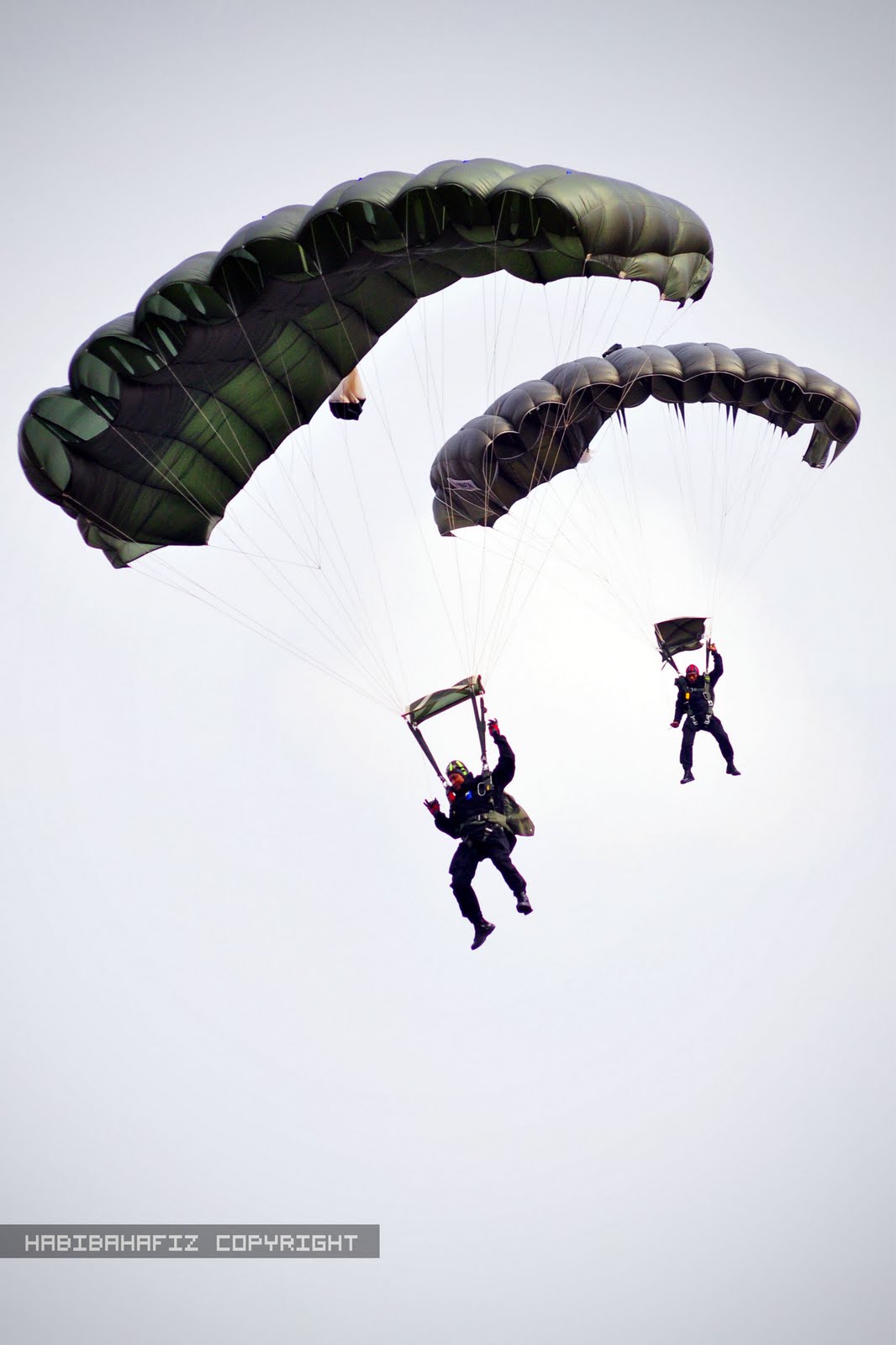 Dossier Of Life: WEEK 7: HARI TERBUKA TENTERA DARAT