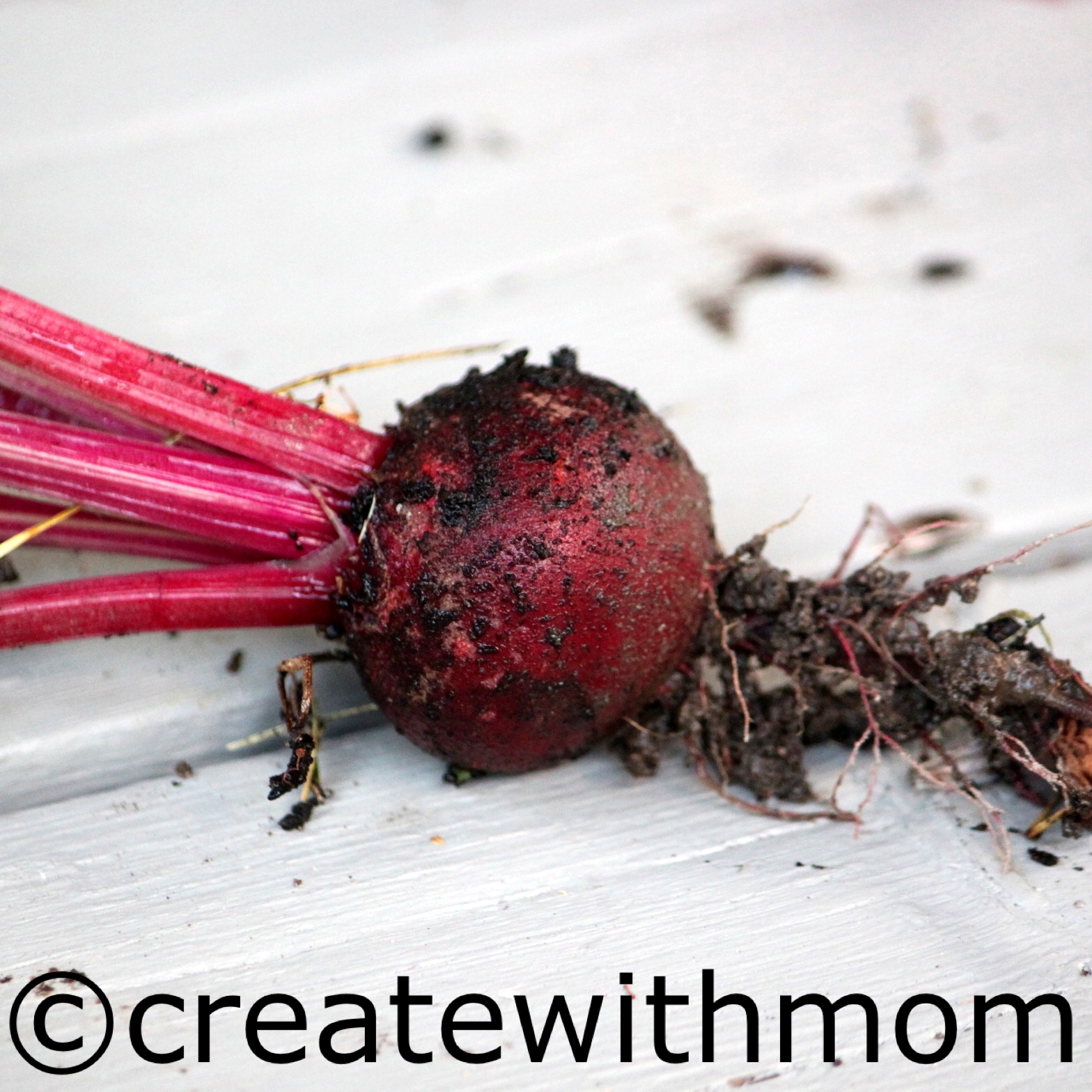Create With Mom: Beetroot plant and curry