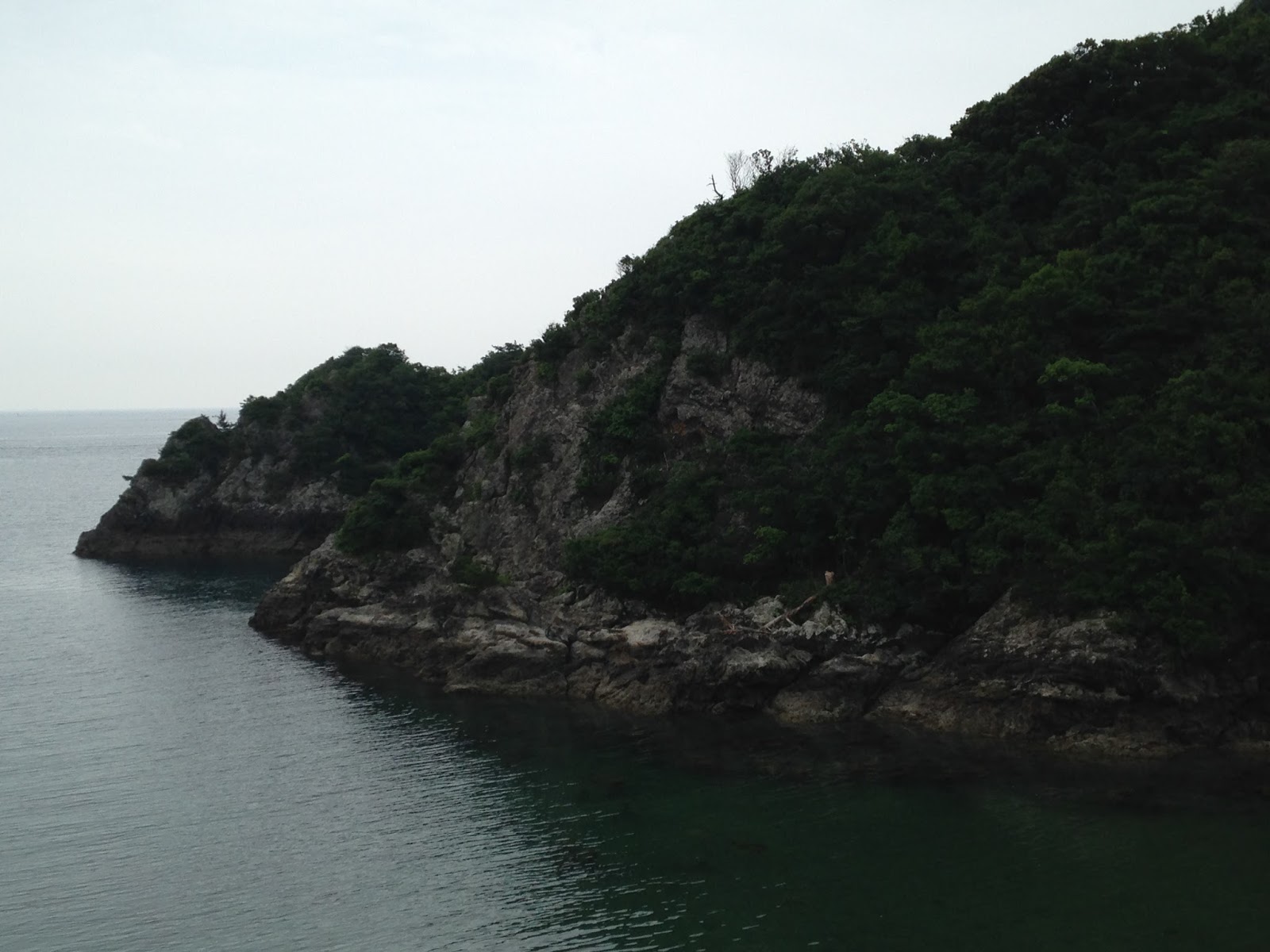 Gragma's Yokai Tourbus: xxii. Asuka Shrine (飛鳥神社) or Taiji (太地) Part 2