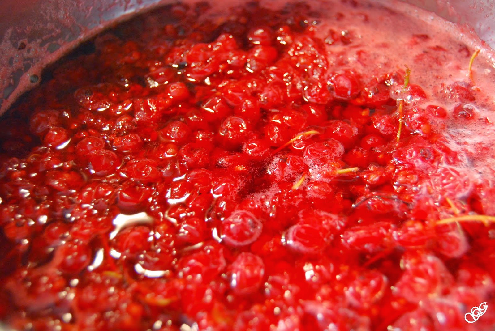 pointGleblog: Sirop à la Groseille