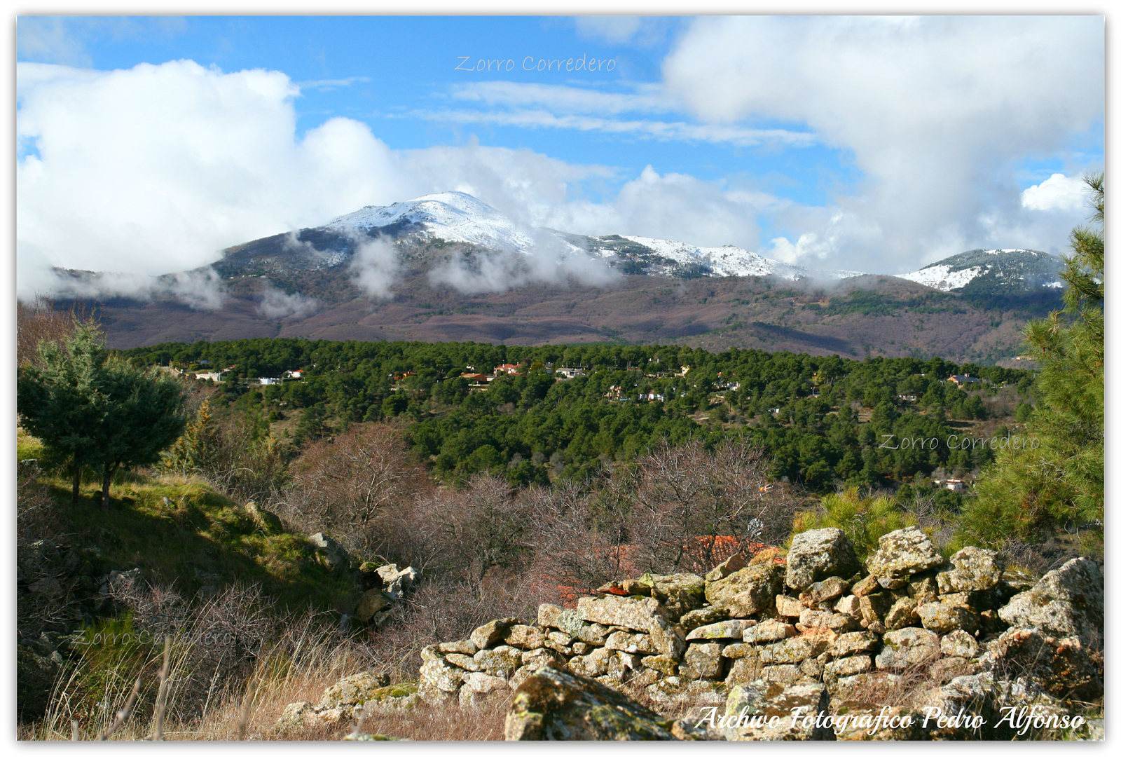 Zorro Corredero de Cadalso de los Vidrios: Un lugar para relajarse en ...