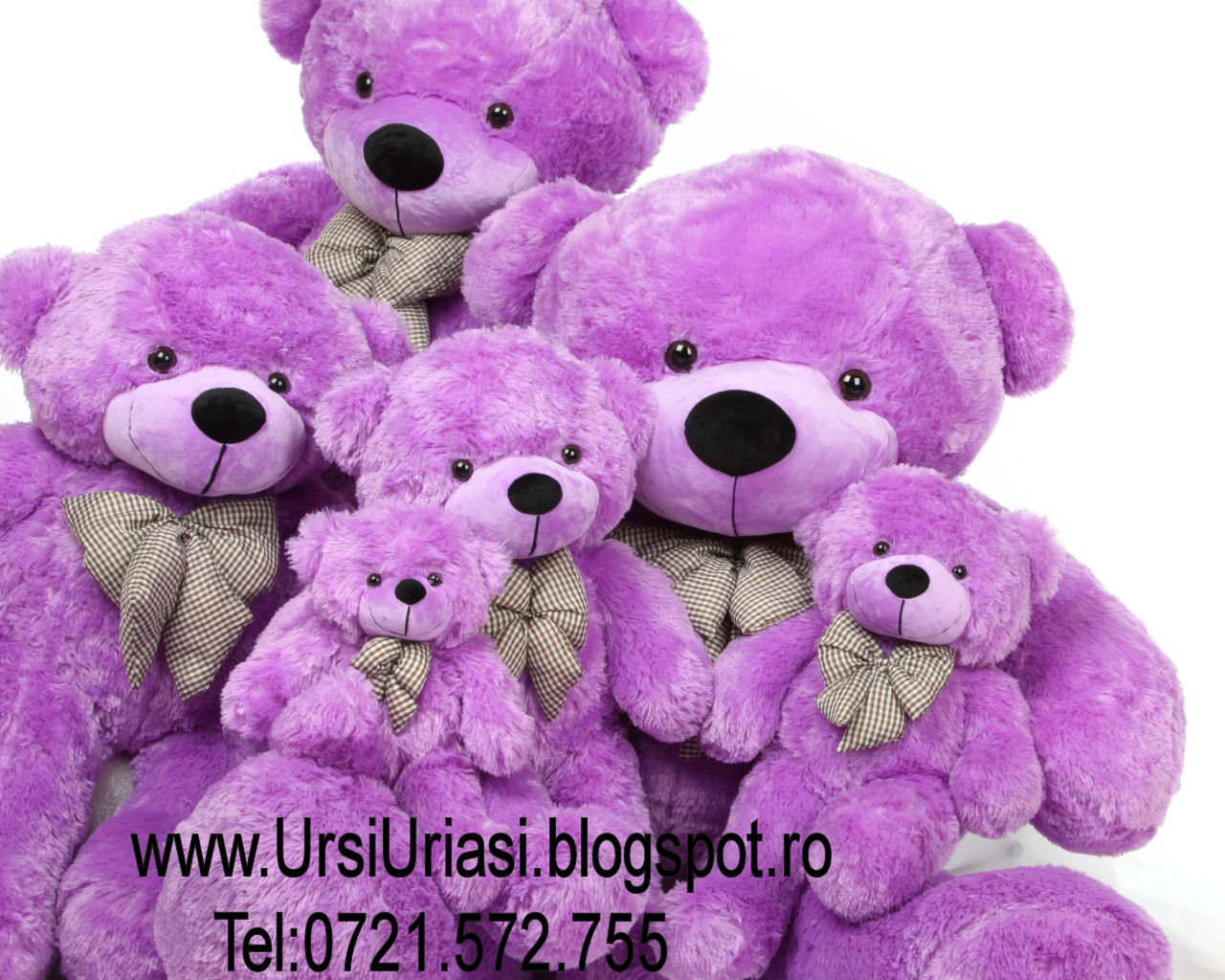 Ursuleti de Plus Uriasi 2m!!! Promotie 350 Lei