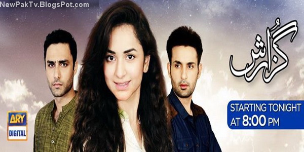 Guzaarish (2015 drama) - Alchetron, The Free Social Encyclopedia