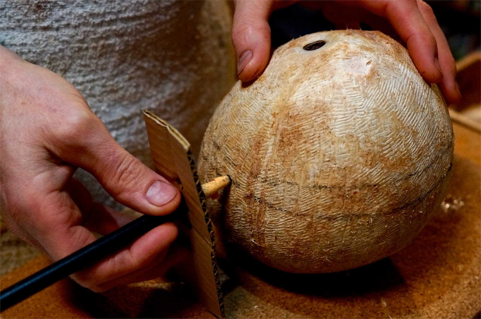 The Sunny Raw Kitchen: How to Make Coconut Yogurt (and Coconut Bowls!)