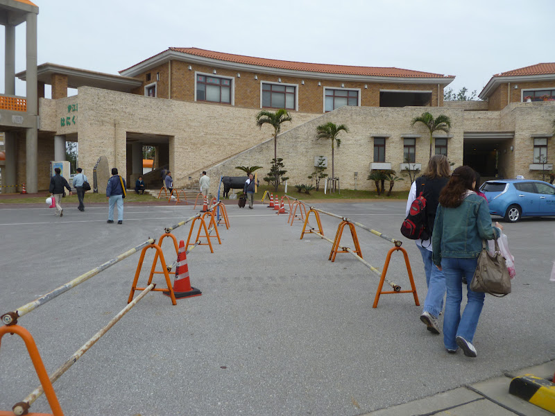 Okinawan Odyssey: Ie Shima: The Ride Over