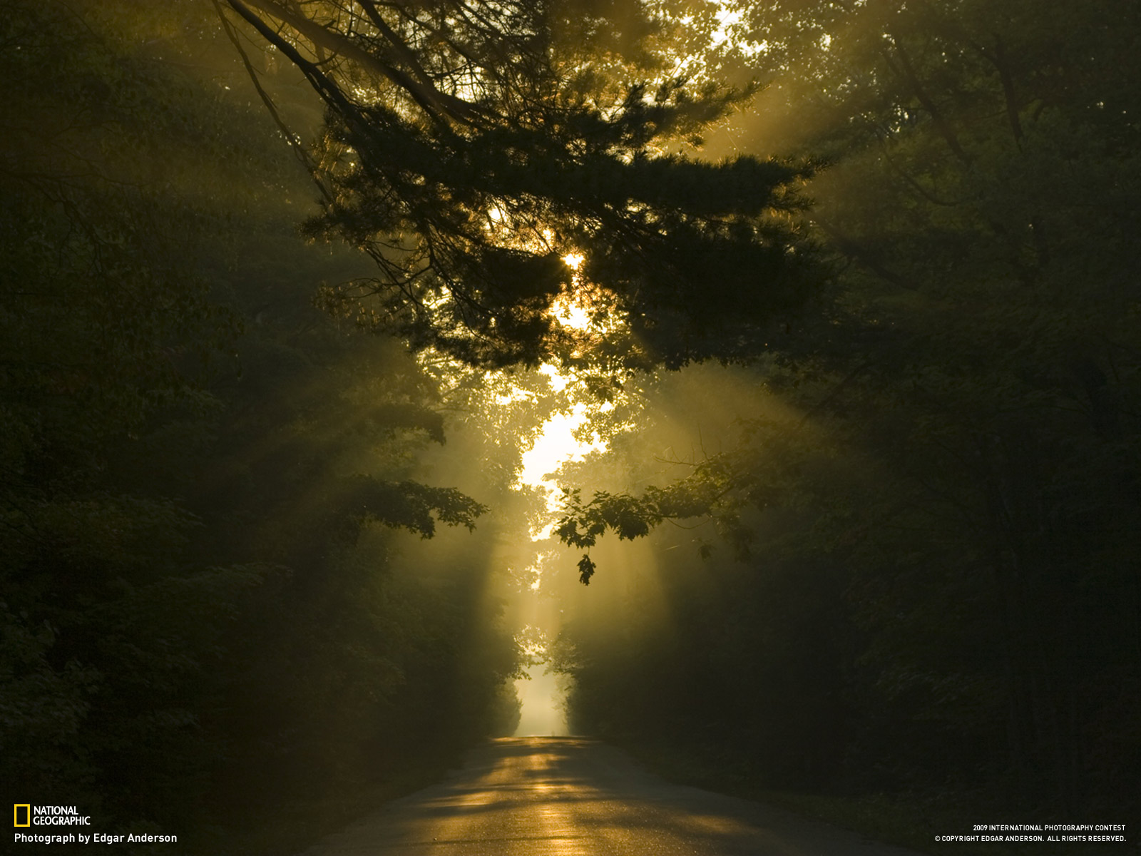 Cele mai frumoase poze