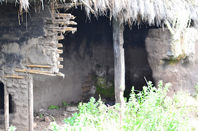 va de fibras : CONSTRUCCIÓN TRADICIONAL DE BAHAREQUE