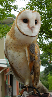 Hearthside Gatherings: Our Eight Year Anniversary