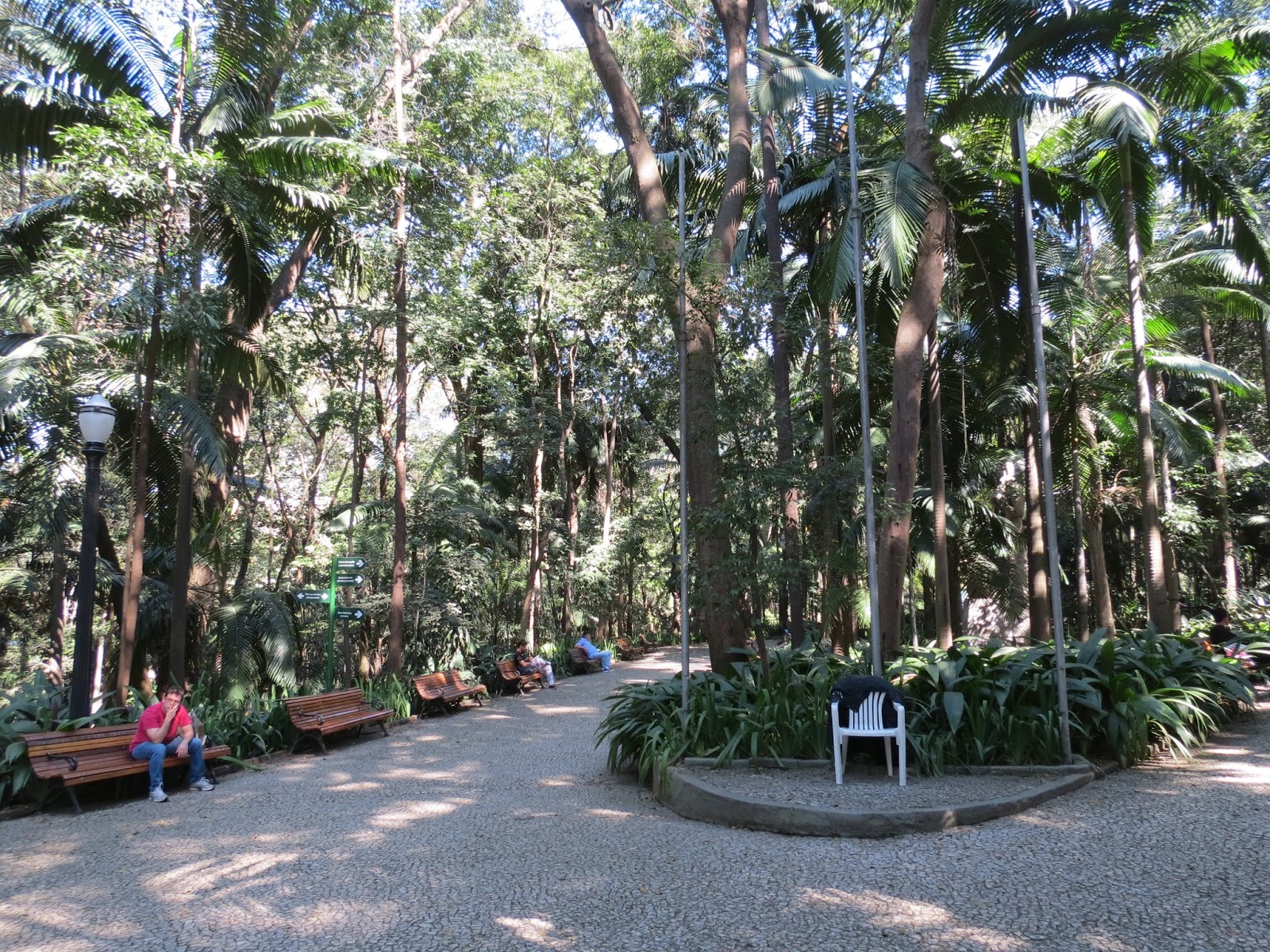 Abu Dhabi Adventures: Sao Paulo: Trianon Park