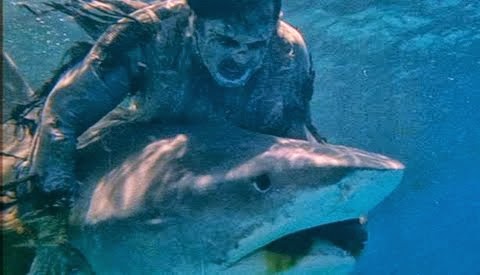 F This Movie!: Take Two: Zombie