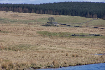 greengalloway: Landscape, photography, history