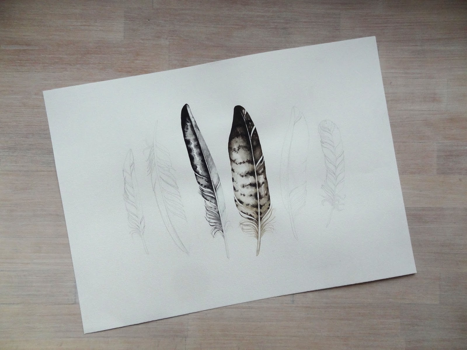 Lucie Neuwirt - ATELIER: Peří, pírka, peříčka, pera.