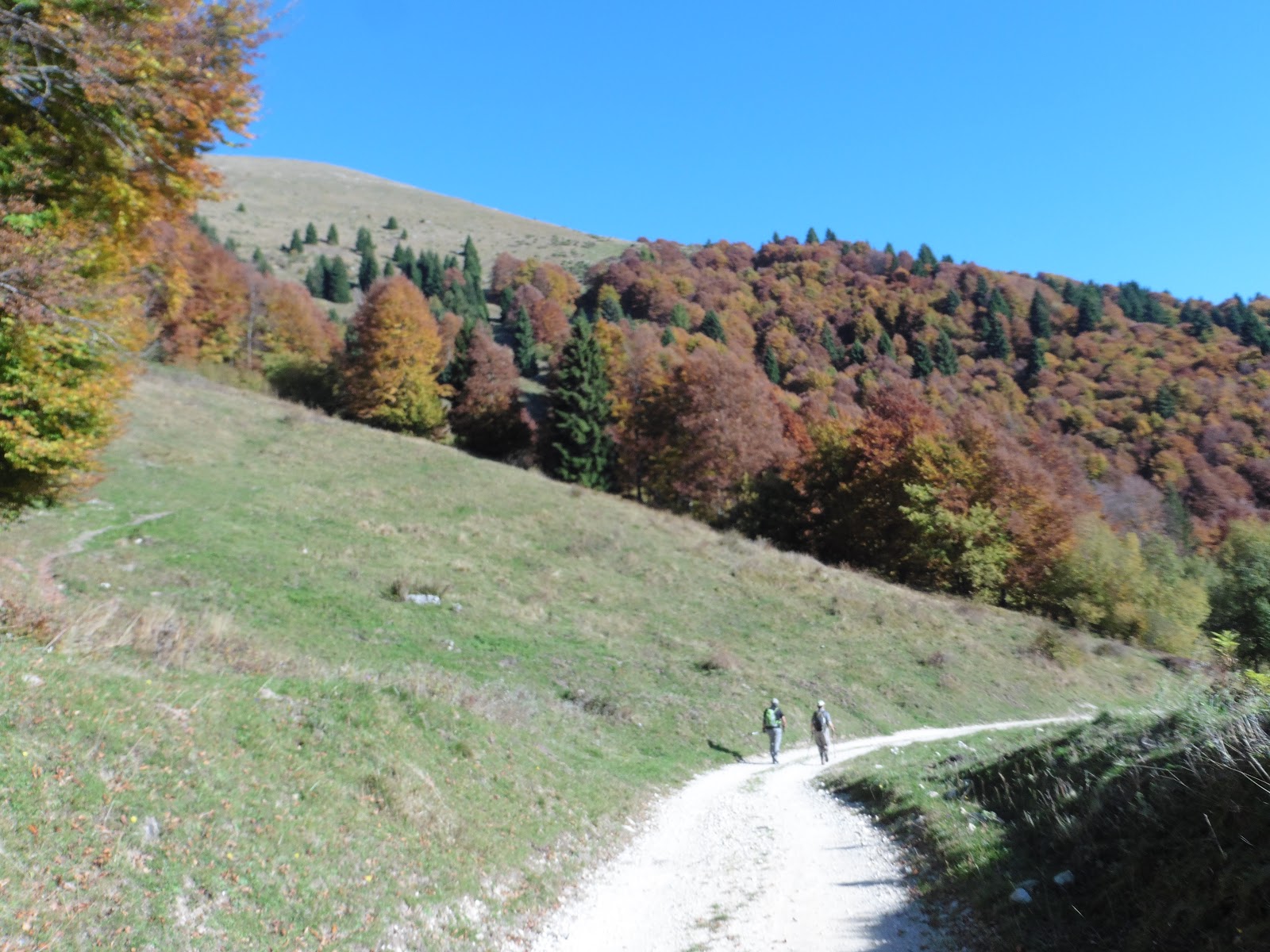 Su strade e sentieri: MONTE GRAPPA: giro delle malghe