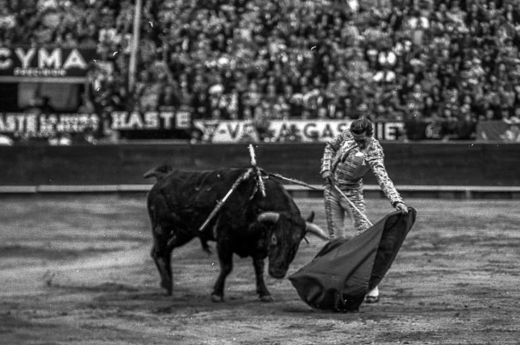 PLAZA DE LA LAGUNILLA: LAS DOS MEJORES FAENAS DE MANOLETE