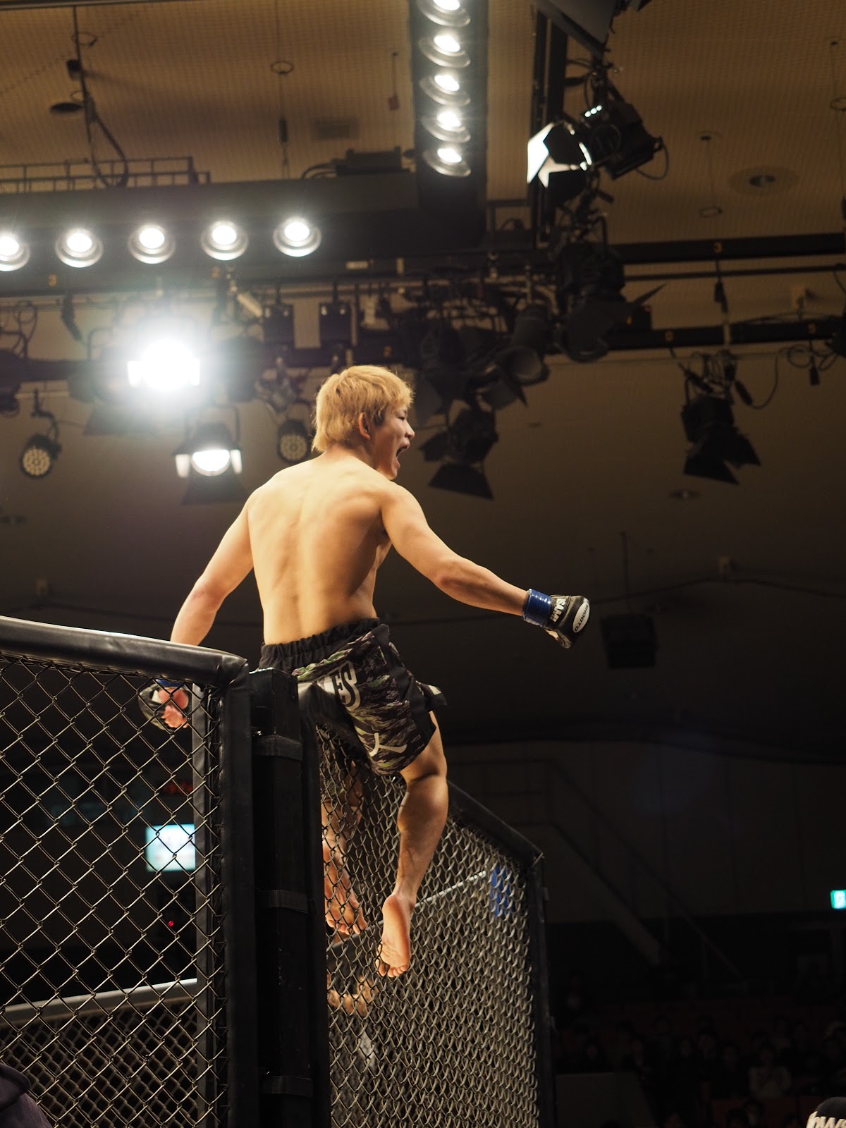 SKILL MMA: Japanese MMA Fighters to Watch Out For in 2018