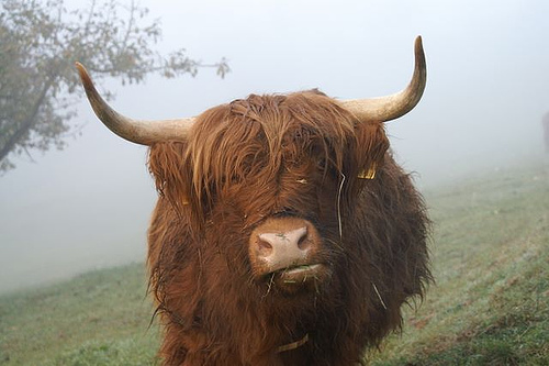 Vacuus Finium: ¿Fin de la industria automotriz? El bueno, el malo y el feo