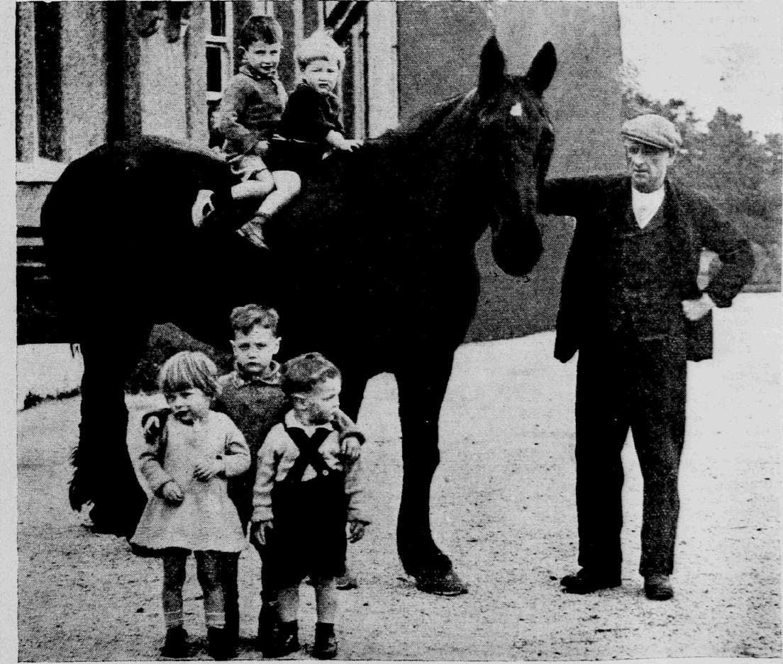 War Horse consultant to speak at Manx Museum - North American Manx ...