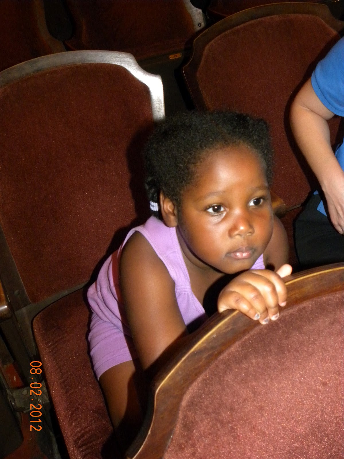 Hurrikains: The Wiggles- Celebration Tour 2012