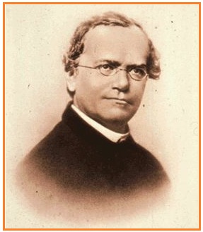 BIOLOGI GONZAGA: ESSAY GENETIKA