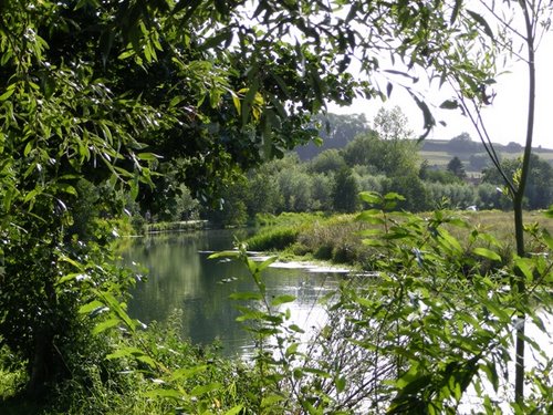 Canche pêche: Photos de Canche