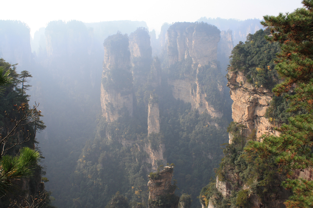 Alam Mengembang Jadi Guru: Gunung Avatar Zhangjiajie