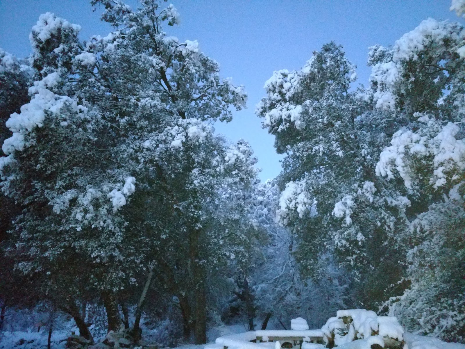 DrÄgÖnFlŸ: FIRST MAJOR SNOW...