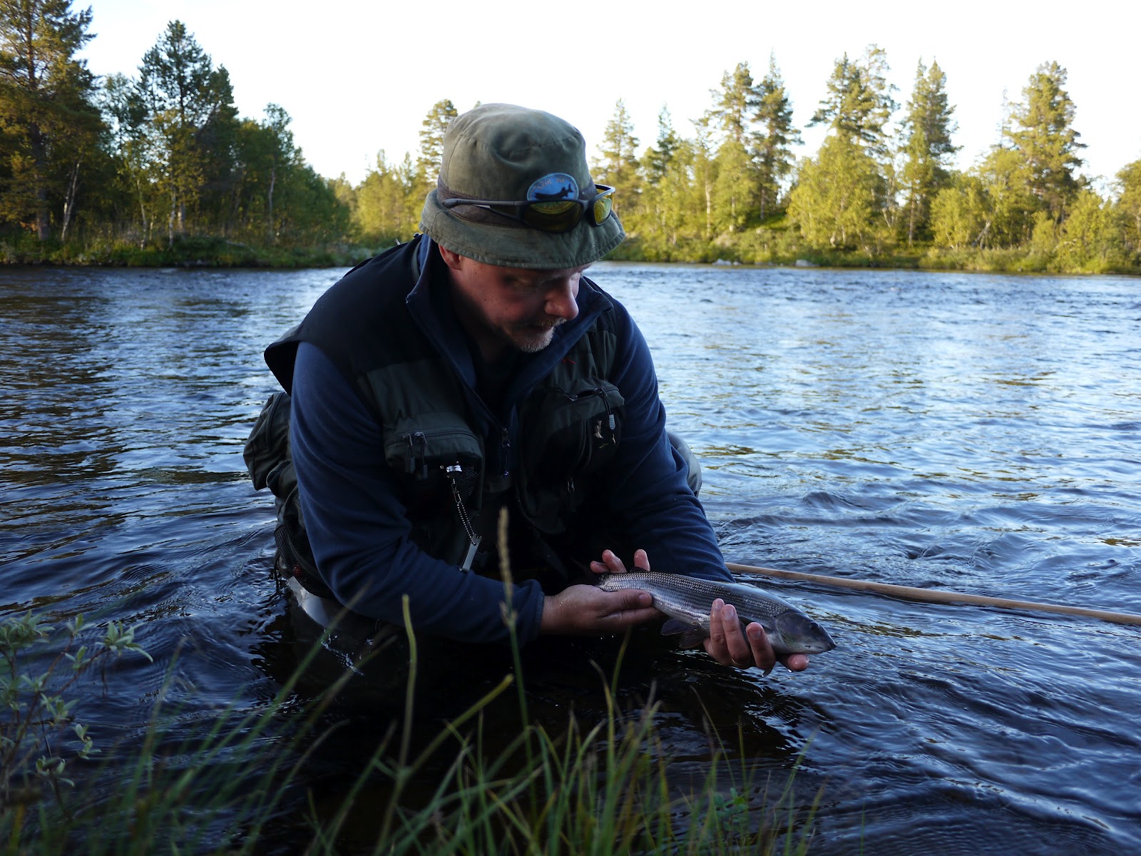 Kläckarens Flugfiskeblogg: Femundselva med Johan Klingberg