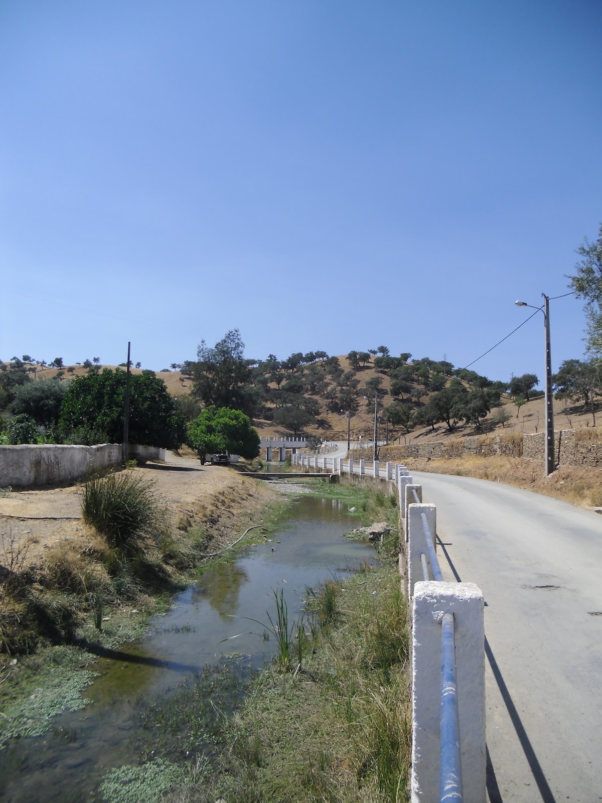 Podróż do Portugalii: Santana da Serra w Ourique w regionie Alentejo na ...