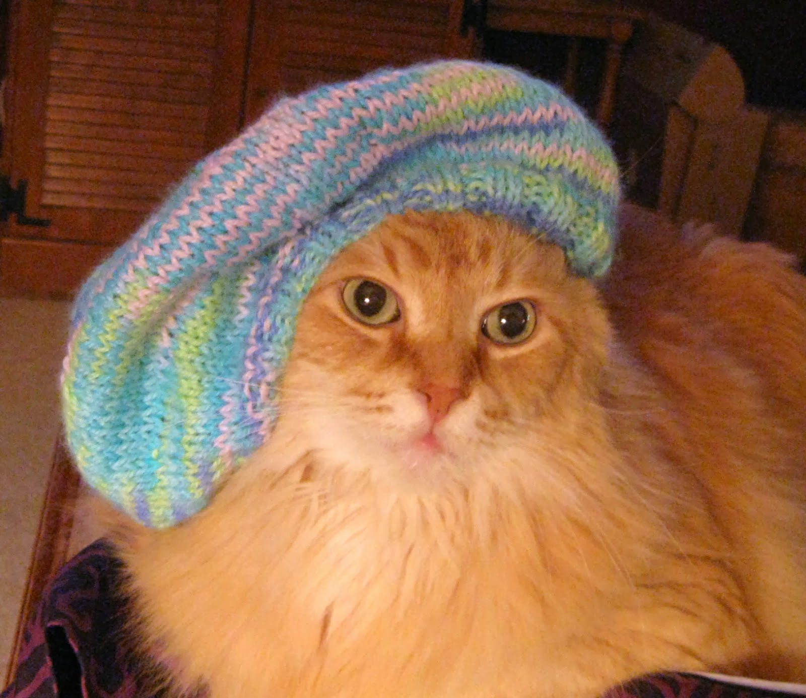 Mother of Five: Ages and stages of Pooh the cat