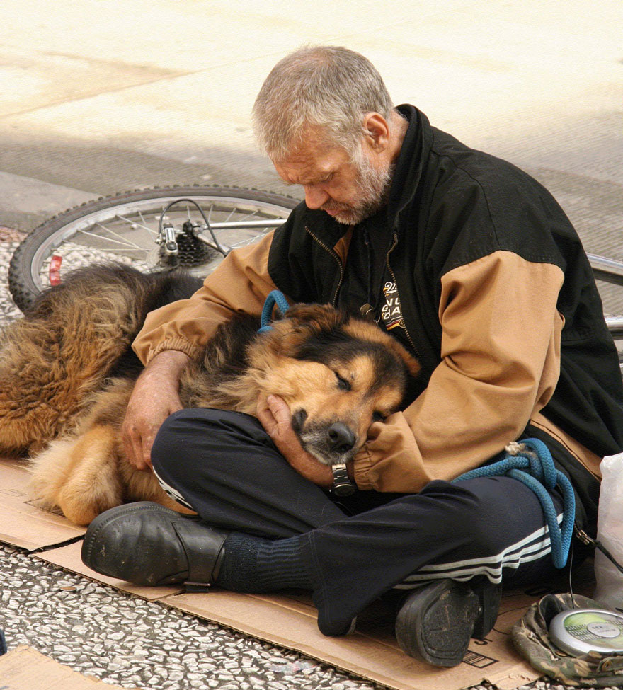 White Wolf : Dog's Love: Beautiful series of pictures showing homeless ...