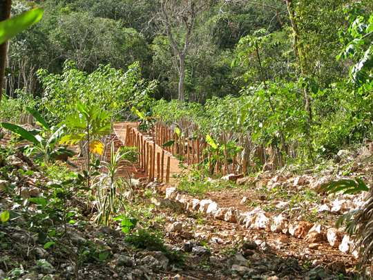 Jim & Carole's Mexico Adventure: NW Yucatan Part 21: A bonanza for ...