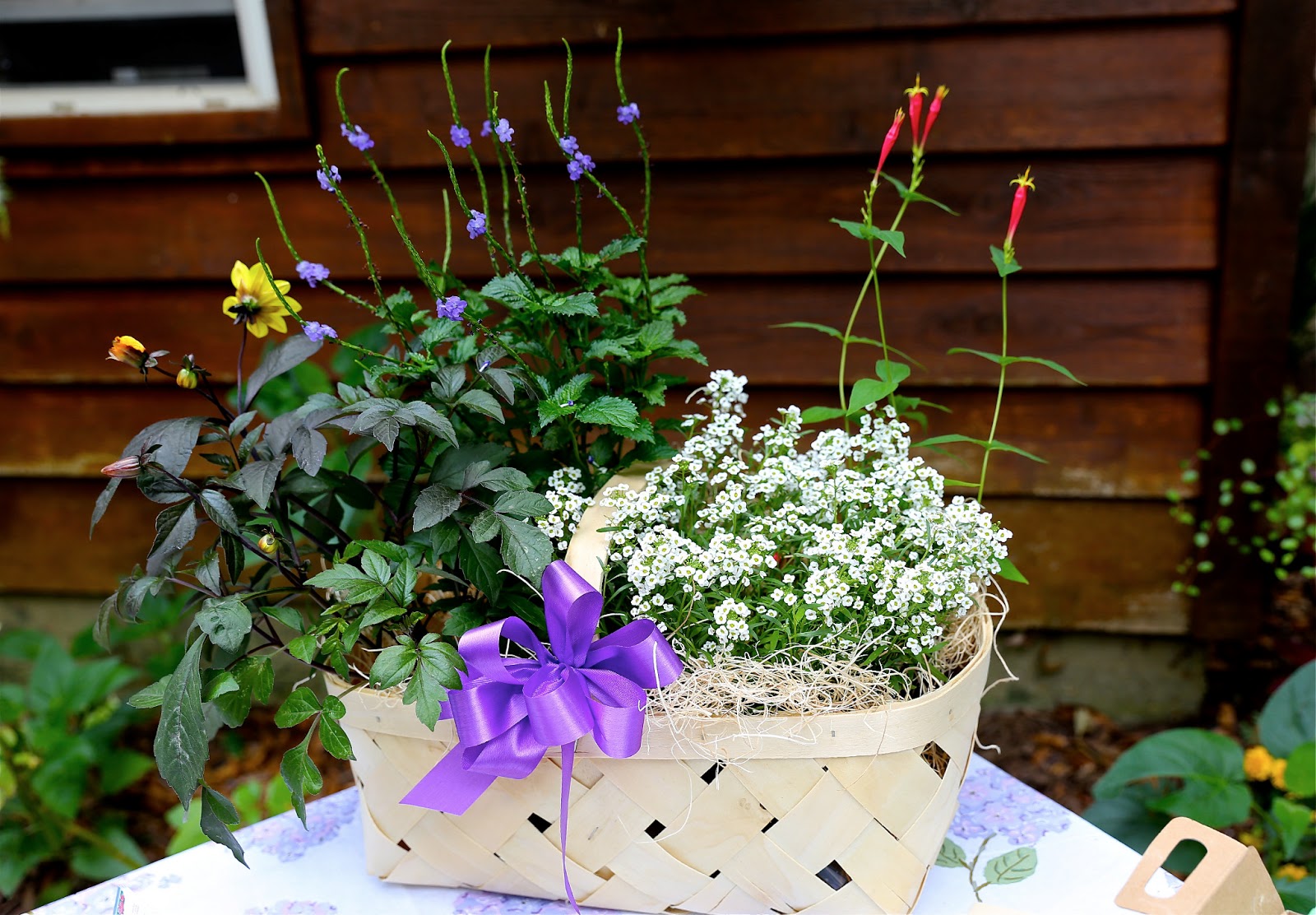 Sweet Southern Days: Maclay Gardens Annual Tour of Gardens
