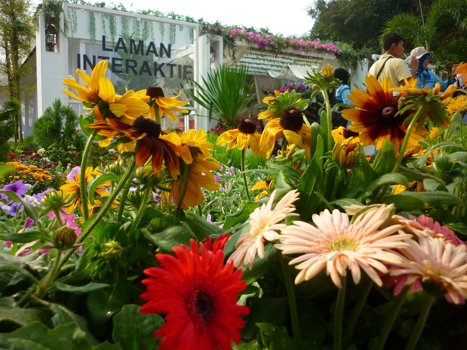 cecite belog: Pesta Bunga Floria Tahun 2011 : Part 2