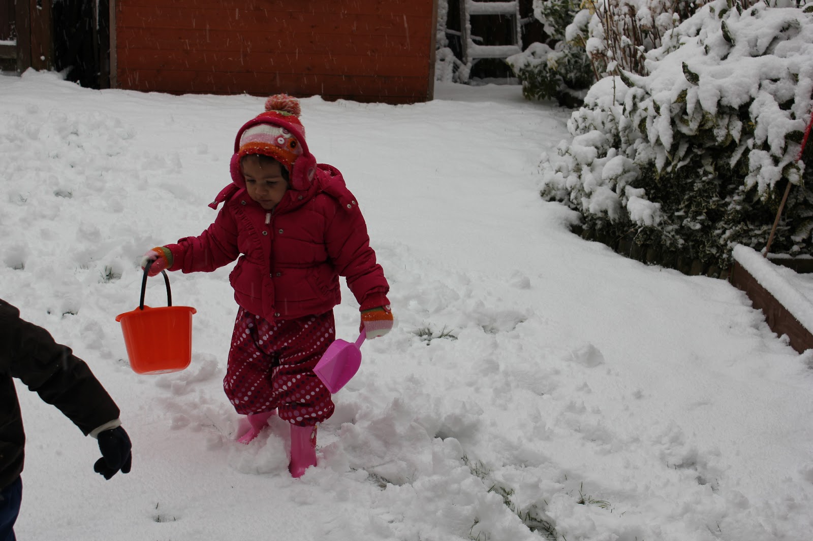 Paige Patricia Streeter