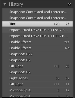 situ: Adobe Photoshop Lightroom Tutorial - Part VIII - Developing Your ...