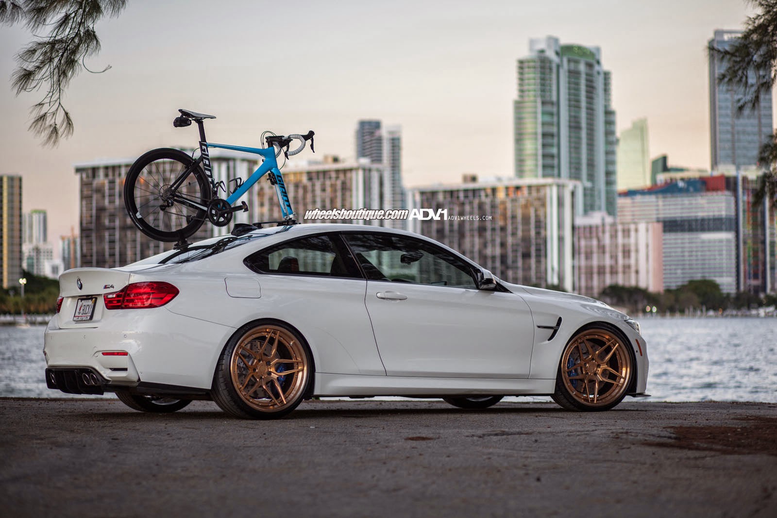 Colored rims | BimmerFest BMW Forum