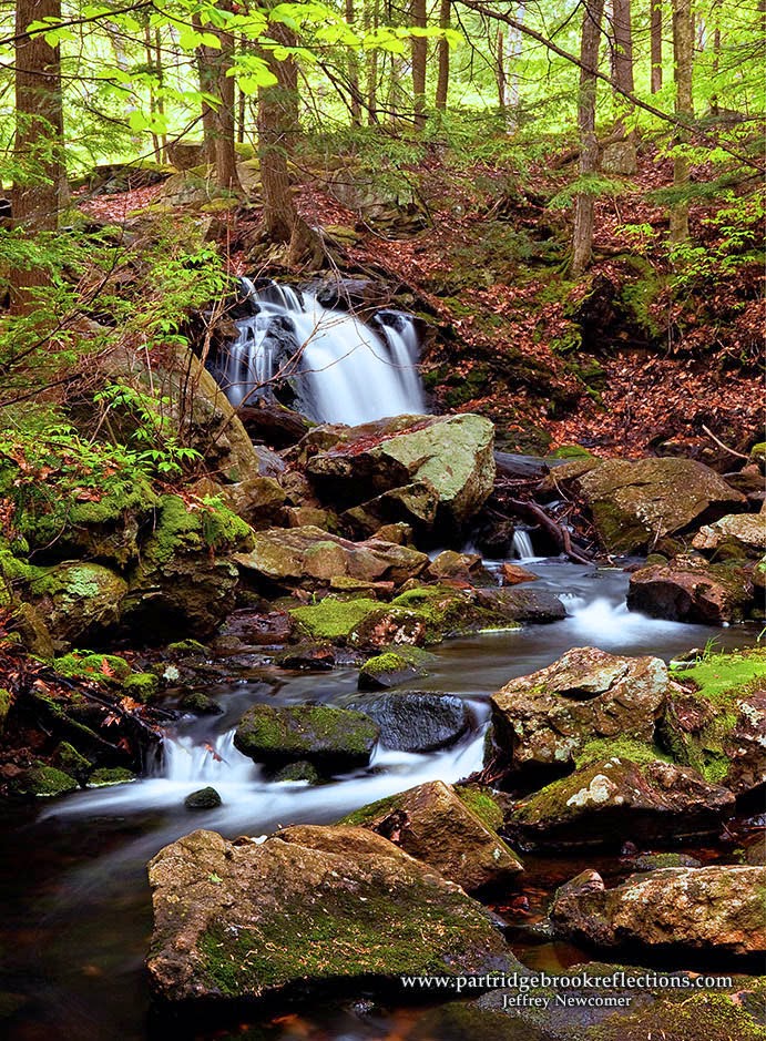 Getting it Right in the Digital Camera : Waterfalls of Cheshire County