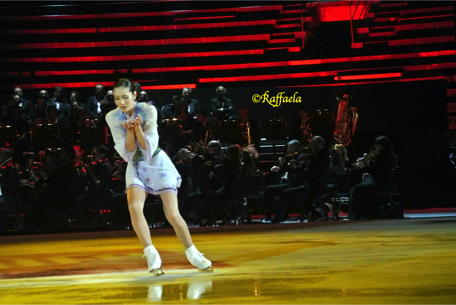 Fotografia è Vita: Opera on Ice lo Spettacolo 2013